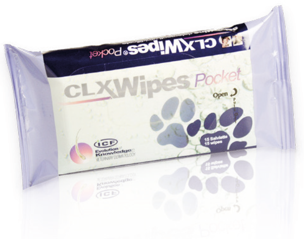 CLX Wipes pocket kostea puhdistuspyyhe 20kpl - Inushop.fi